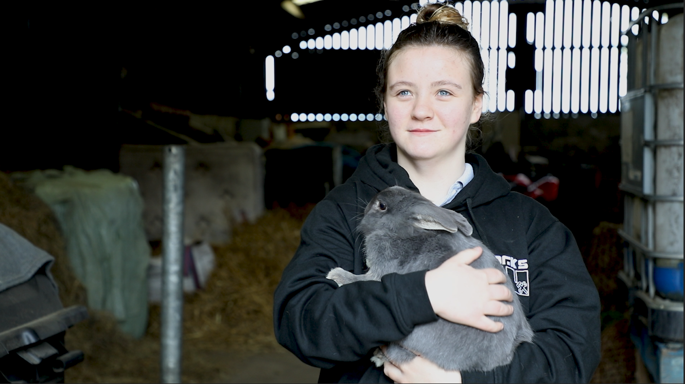 Error loading this resource